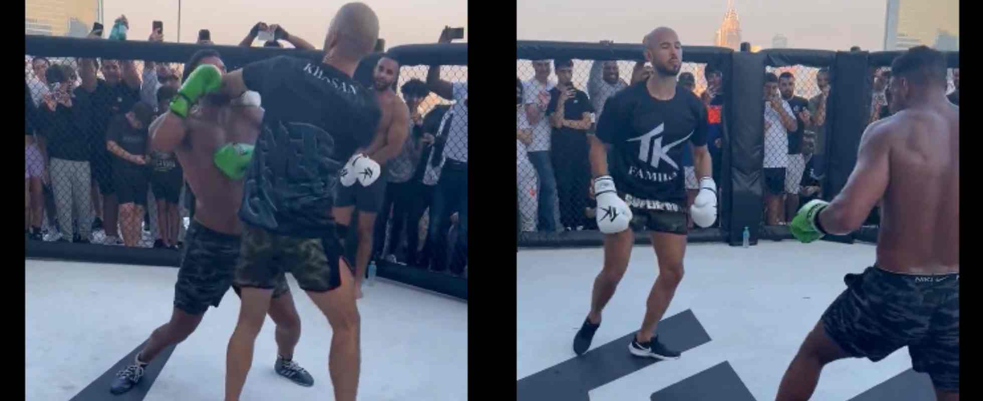 (Video) Social media outcast Andrew Tate spars inside Octagon in Abu Dhabi