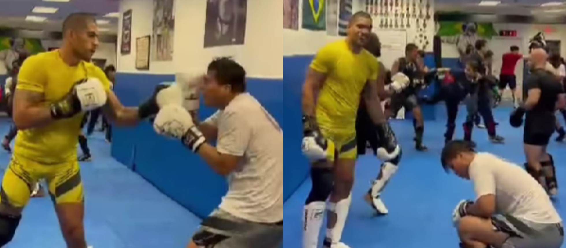 (Video) Former UFC champ Alex Pereira drops training partner with a ...