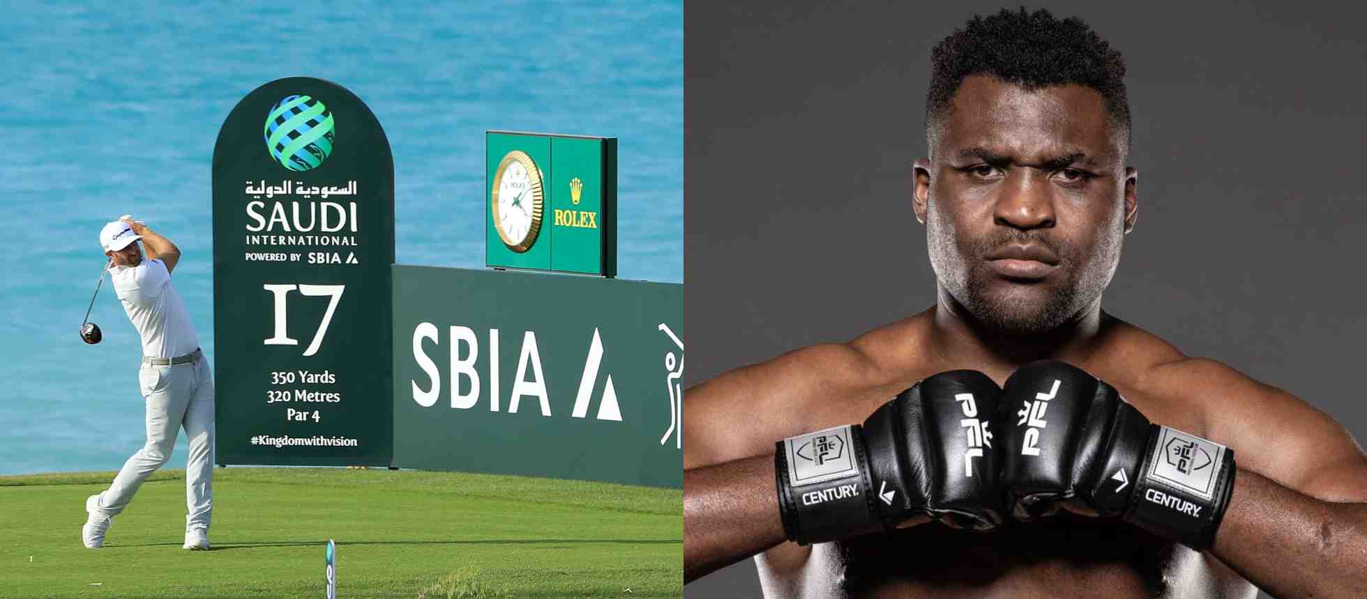 Saudi investment group acquires minority equity stake in PFL for ...