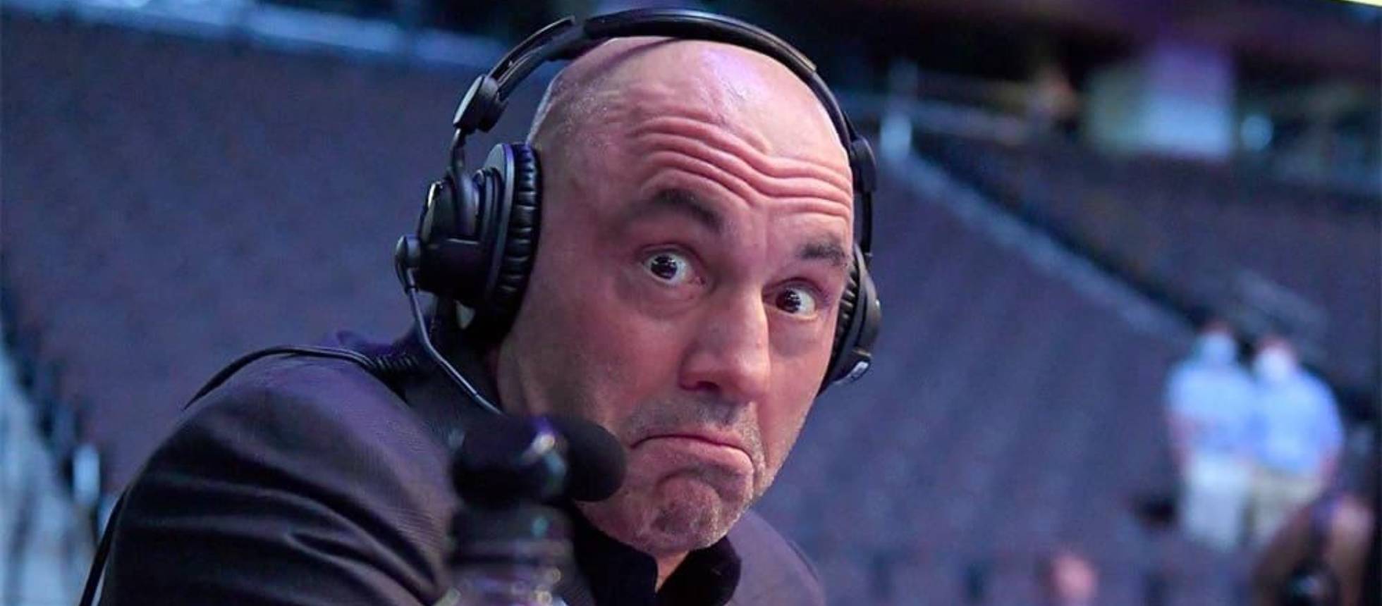 Joe Rogan talks butt-kicking that sparked interest in combat sports