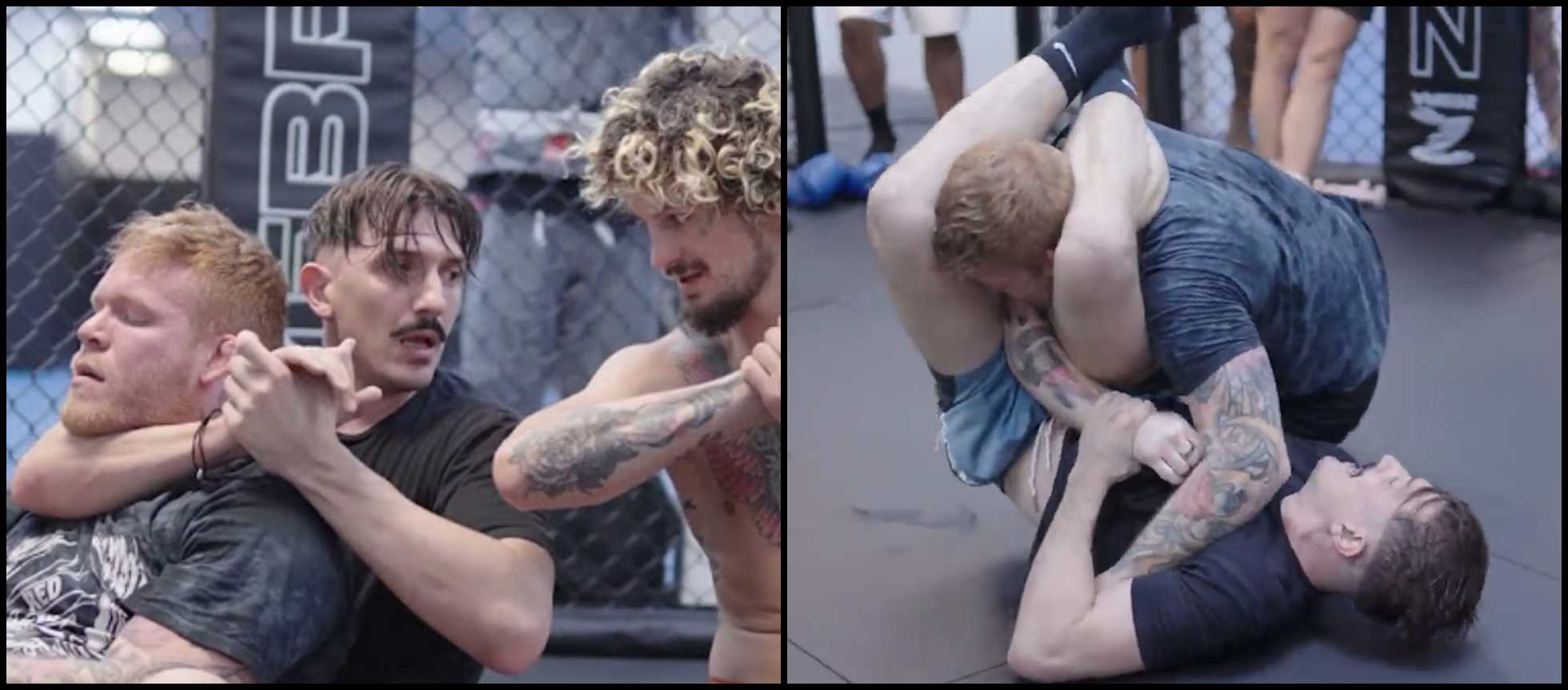 (Video) Comedian Andrew Schultz Grapples Suga Sean's Coach