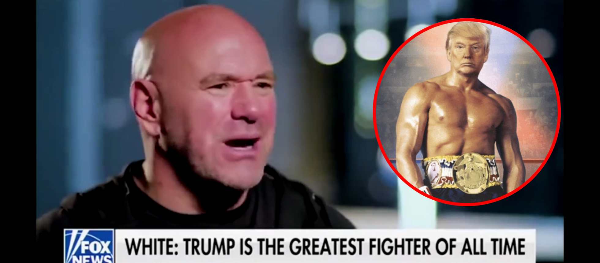 Donald Trump is the GREATEST fighter of all time as per UFC President ...
