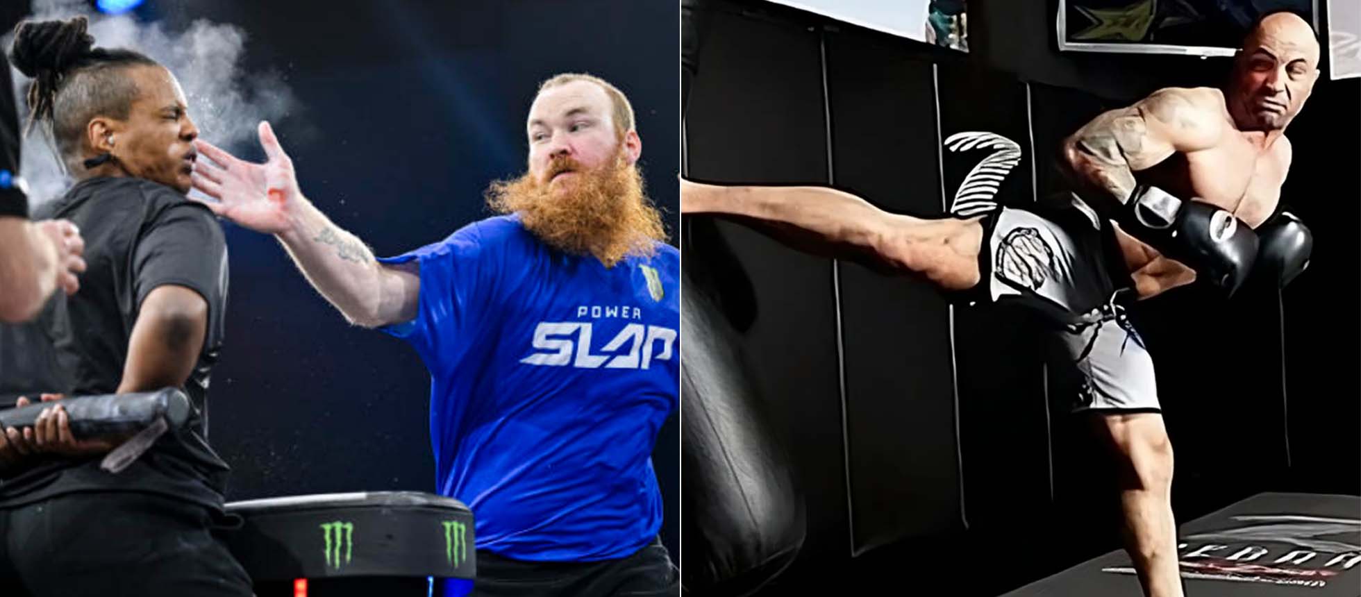 Joe Rogan thinks the UFC should create a Kickboxing league instead of ...