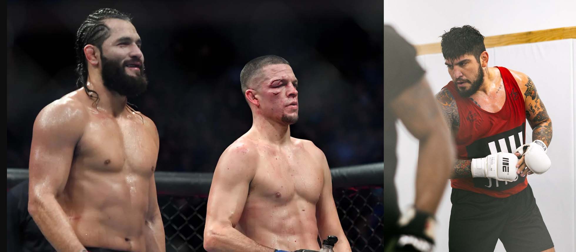 Dillon Danis: Nate Diaz turned down a fight against me