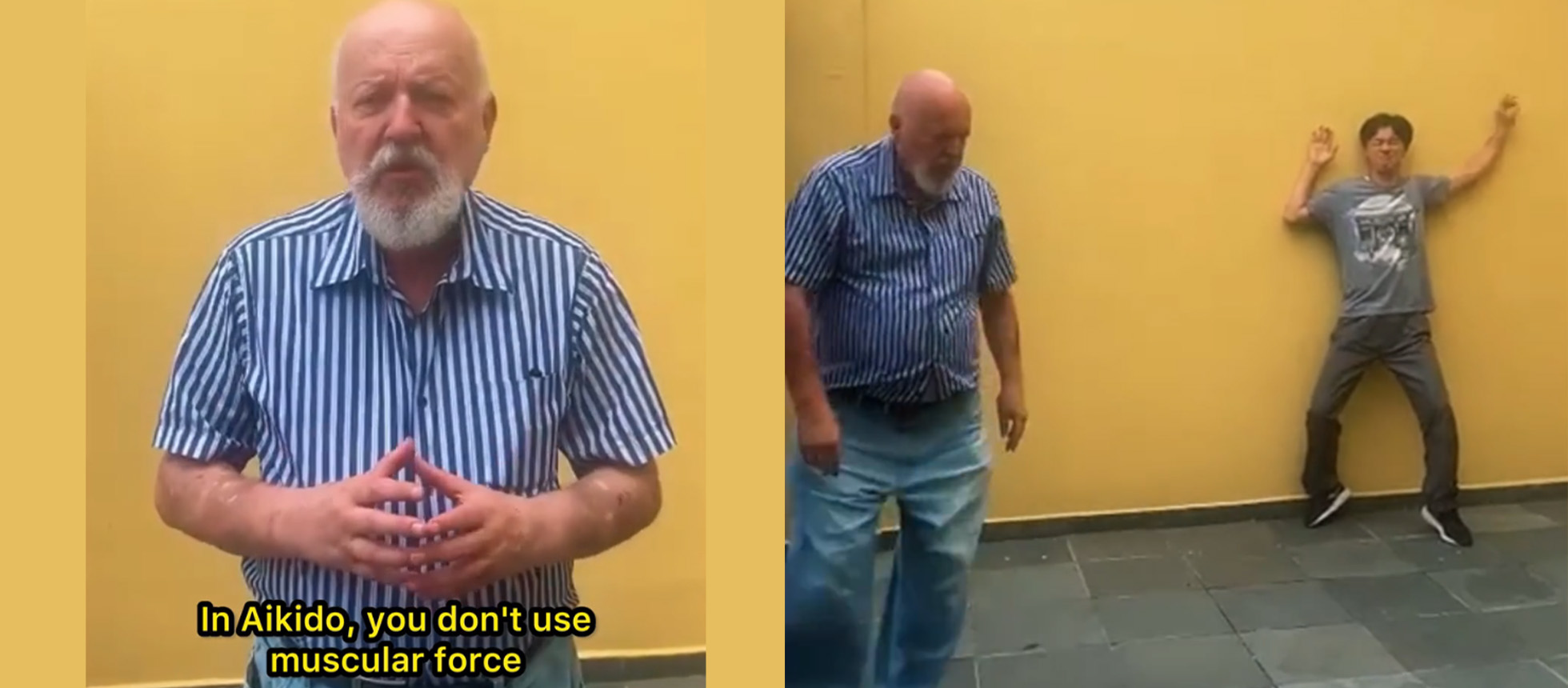 (Video) This Bullshido Master puts the Ki in aikido