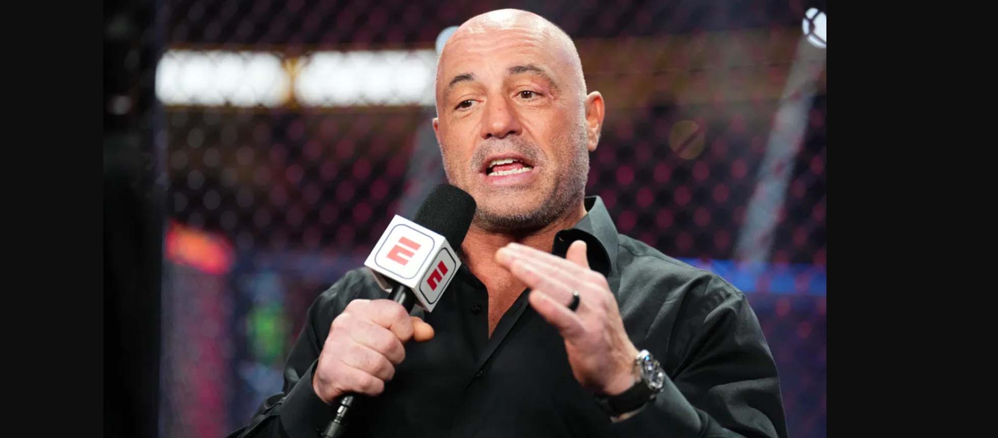 Joe Rogan's 'worst job' was in Entertainment