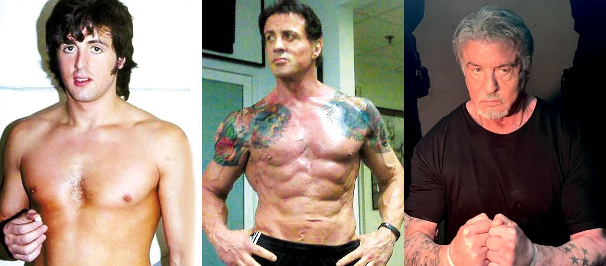 Stallone Turned 79; Still Training Like a Beast with the Ultimate ...