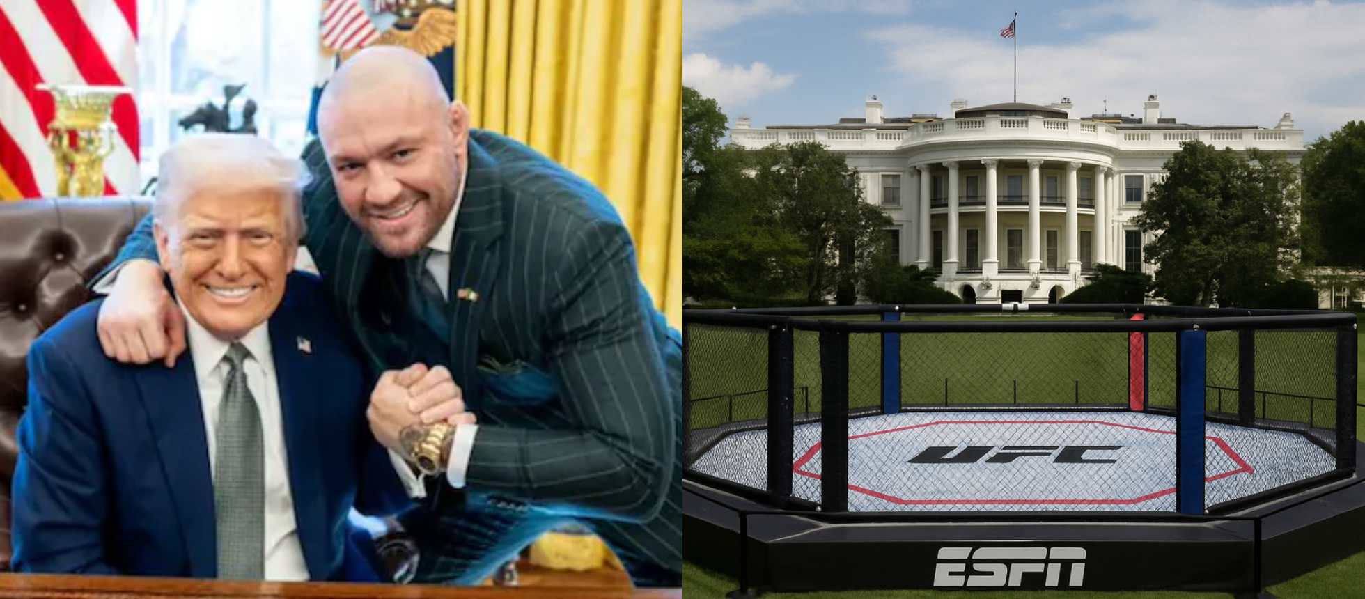 Conor McGregor has told Dave Feldman he plans to be on the White House ...