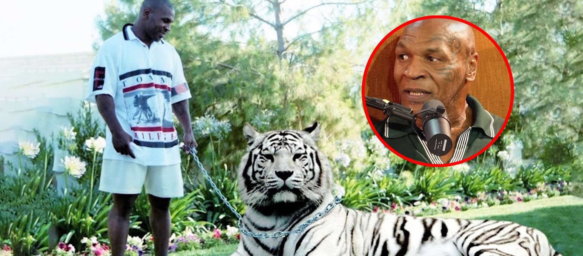 Mike Tyson would sleep with his pet tiger