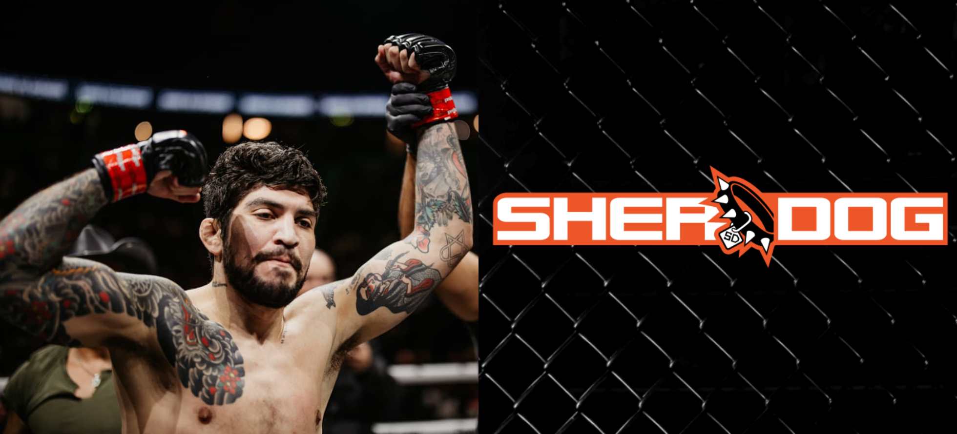 Sherdog is refusing to recognize Dillon Danis' latest MMA win