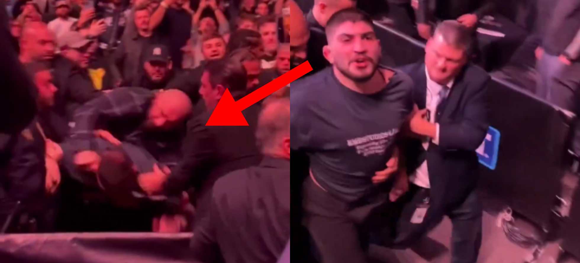 (Video) Dillon Danis gets ejected from UFC 323 after Makhachev teammate ...