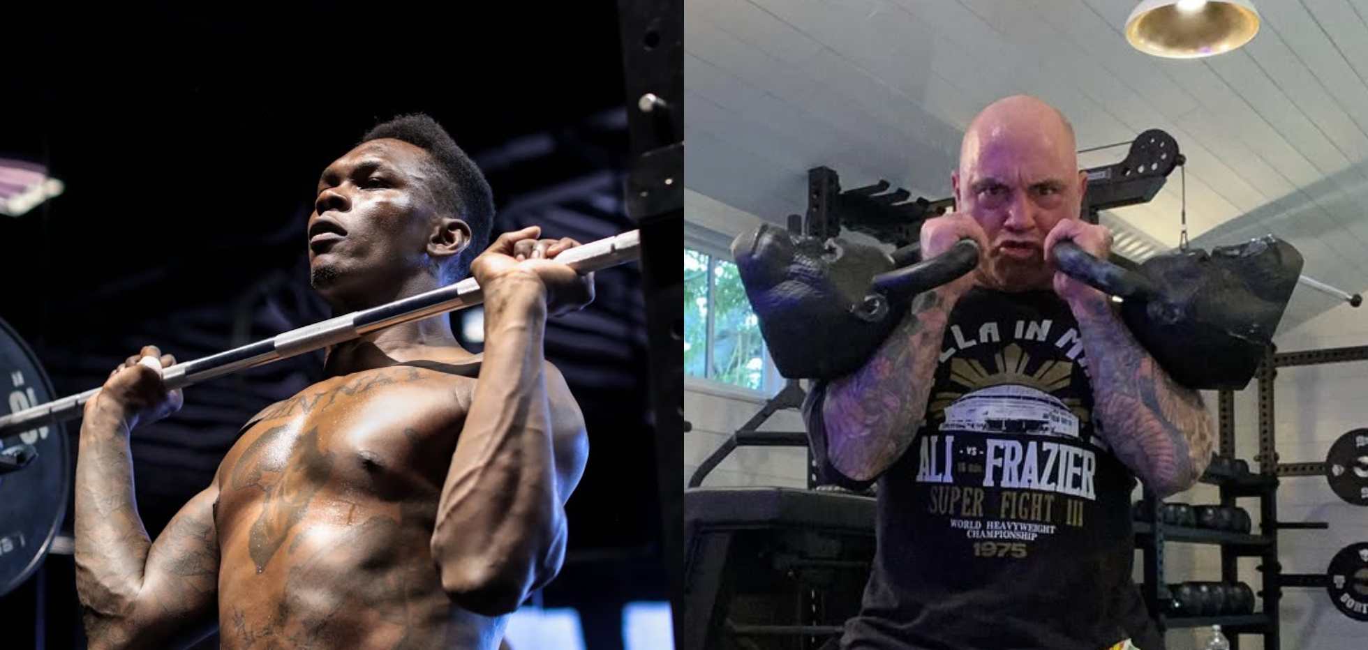 Just Two Years of Vigorous Exercise Reversed 20 Years of Heart Aging