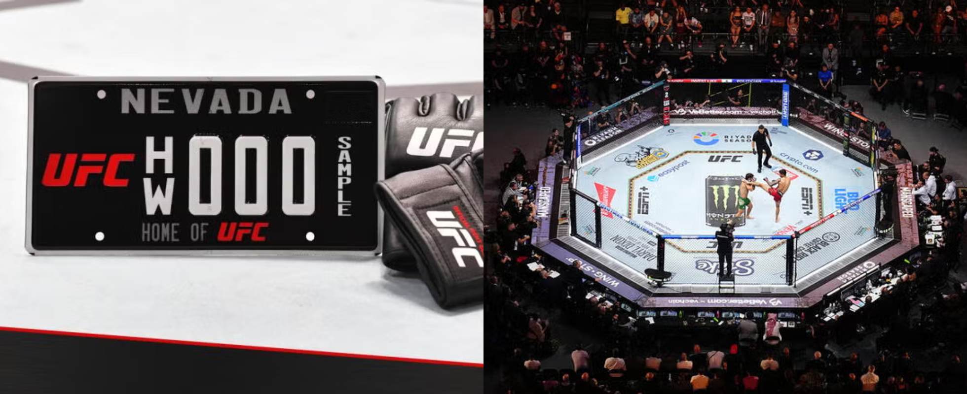 Florida Is Now Licensing UFC Car Plates For A Good Cause