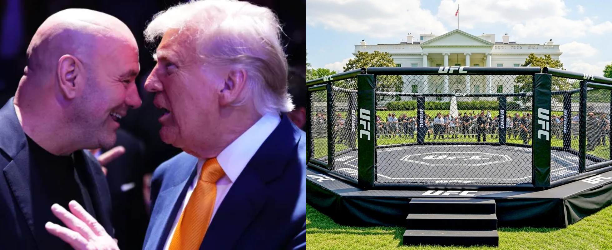 MMA Analyst: UFC Sold Its Soul to Donald Trump